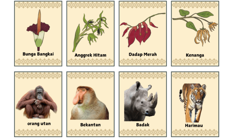 Peta Sebaran Keanekaragaman Hayati Di Indonesia, Dari Pulau Sumatera Hingga Papua - BekelSego