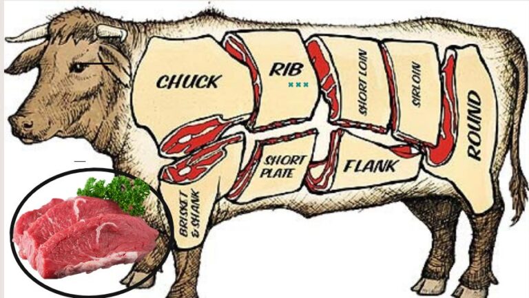13 Bagian Daging Sapi Dan Olahannya Yang Tepat, Dari Sengkel Hingga ...
